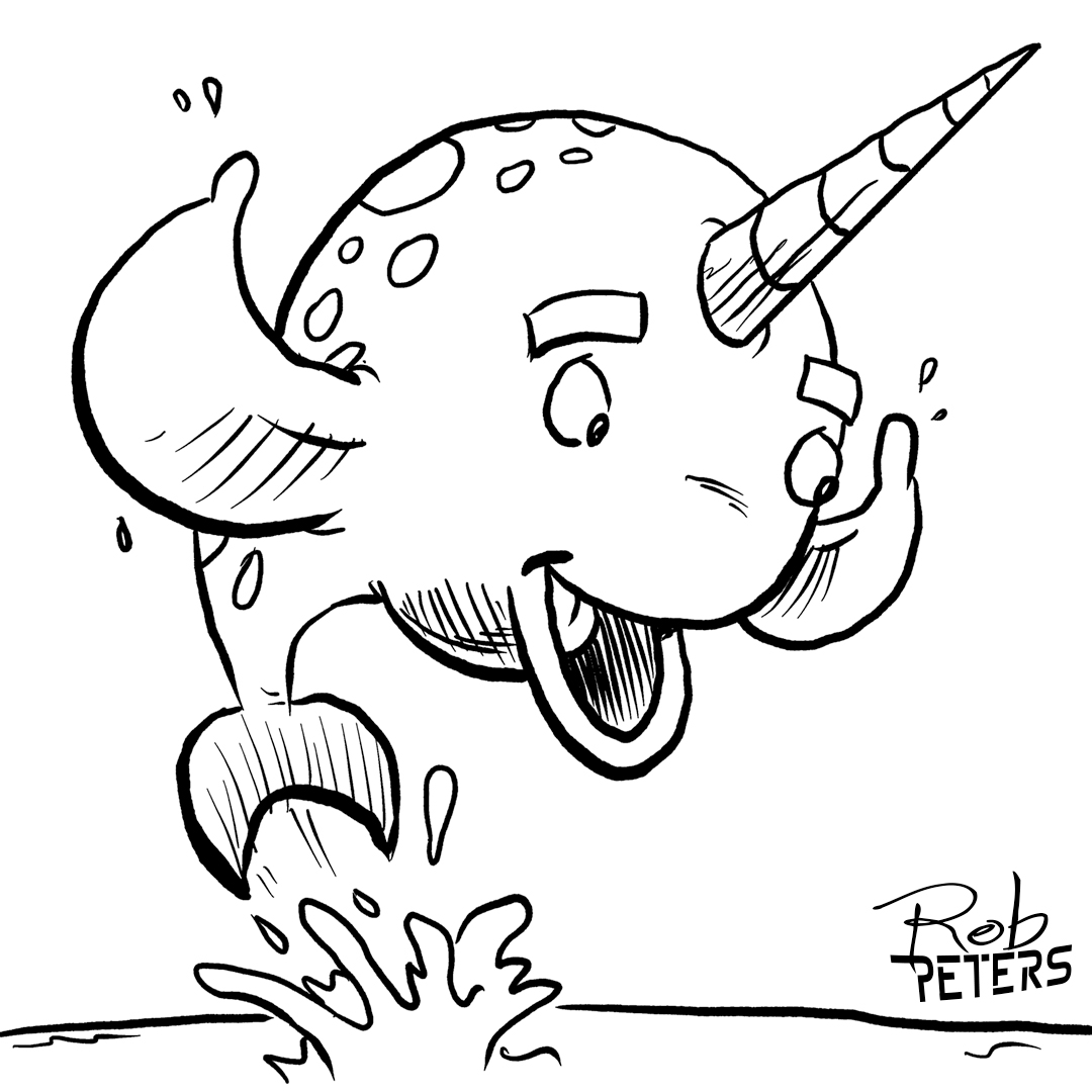 Daily Drawing: Narwhal 11 - Rob Peters Illustration BlogRob Peters ...
