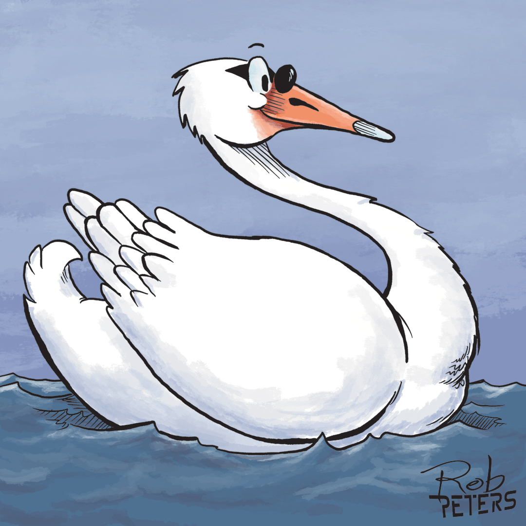 Daily Drawing: Swan 1 - Rob Peters Illustration BlogRob Peters ...